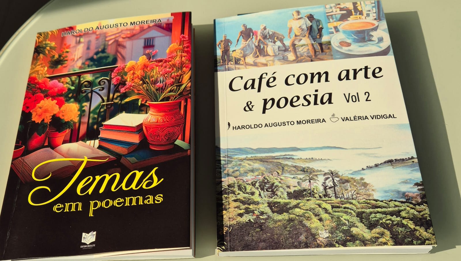 Haroldo Augusto Moreira publica duas novas obras - Academia Itapemense ...
